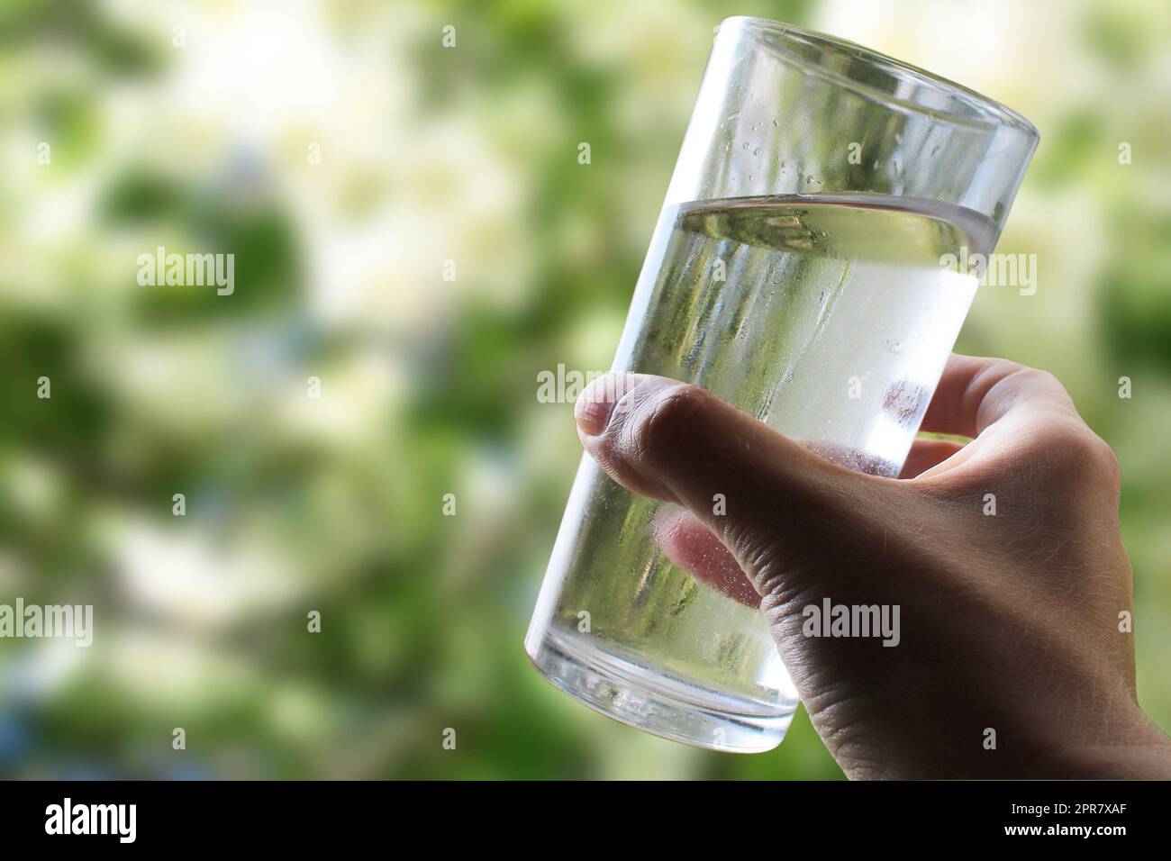 A glass of water in a hand close-up on a natural green background ...