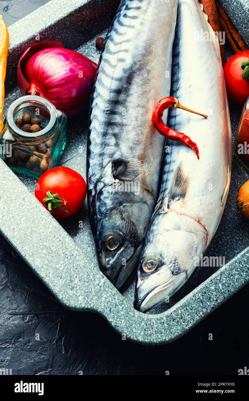 Fresh, raw scomber fish Stock Photo - Alamy
