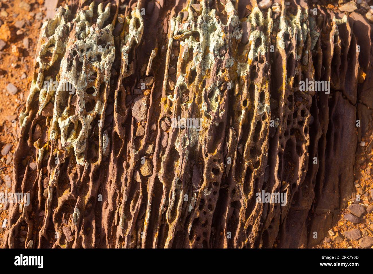 Beach rocks detail Stock Photo - Alamy