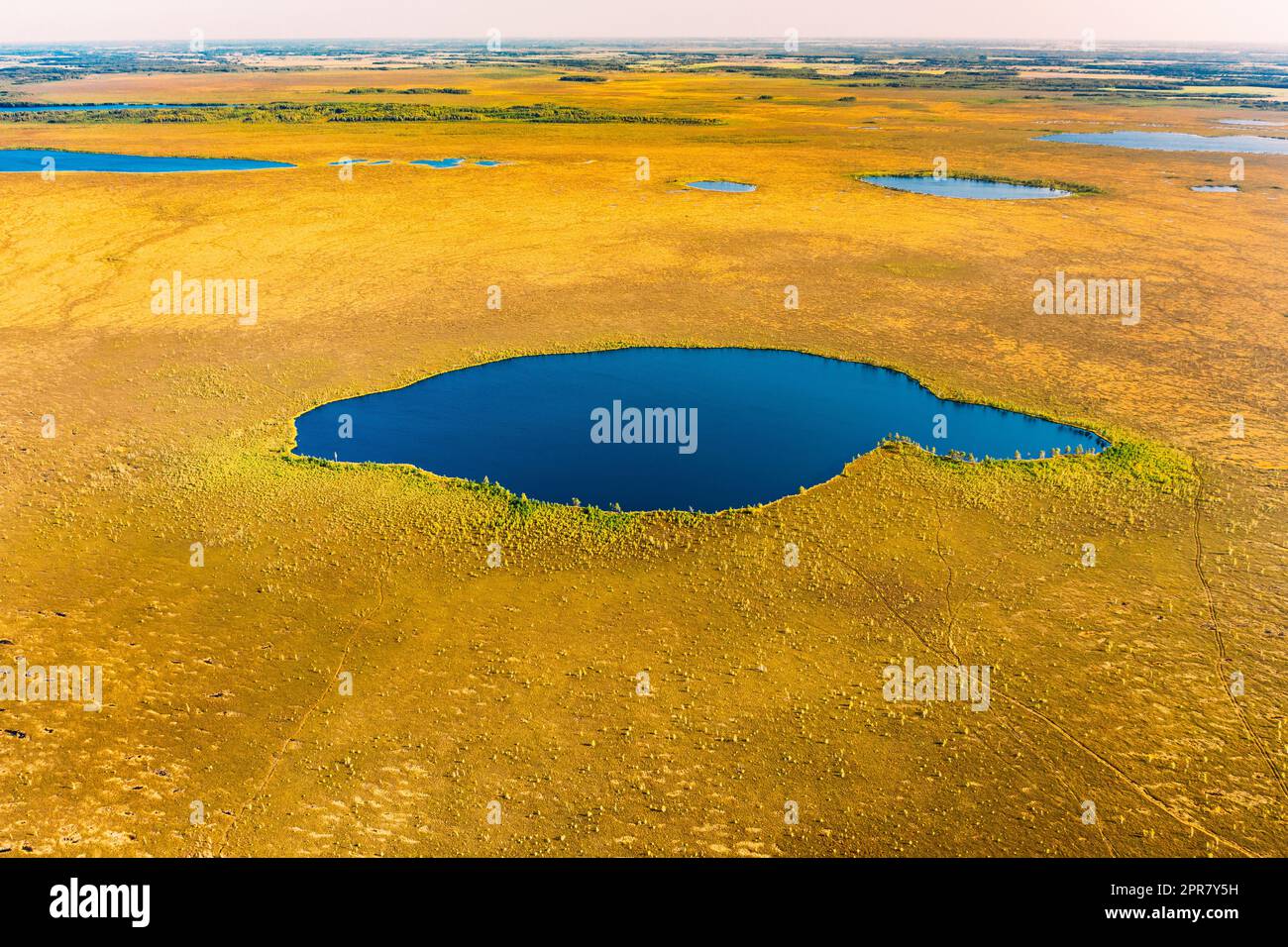 Miory District, Vitebsk Region, Belarus. The Yelnya Swamp. Upland And ...