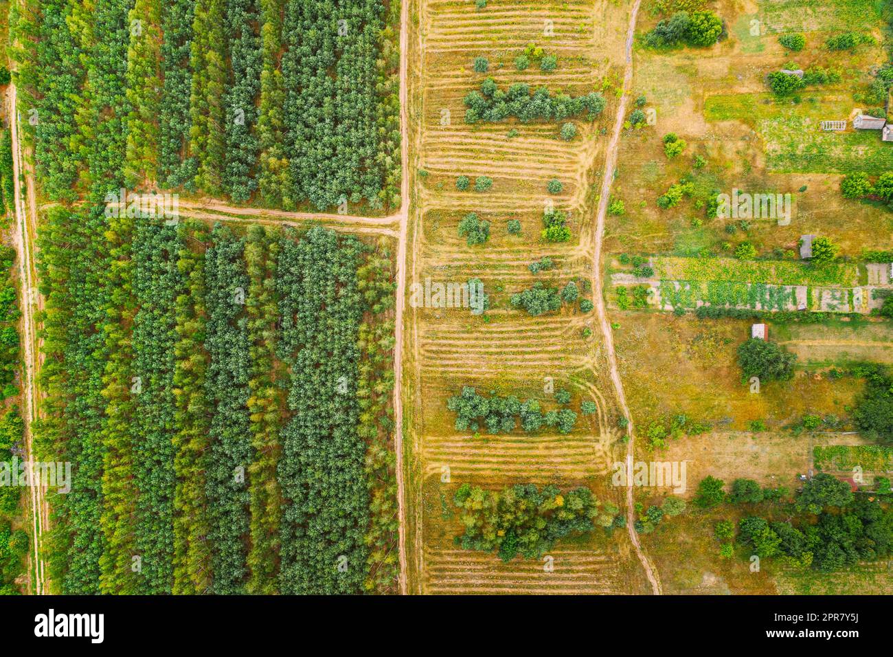 Abstract nature landscape new hi-res stock photography and images - Alamy