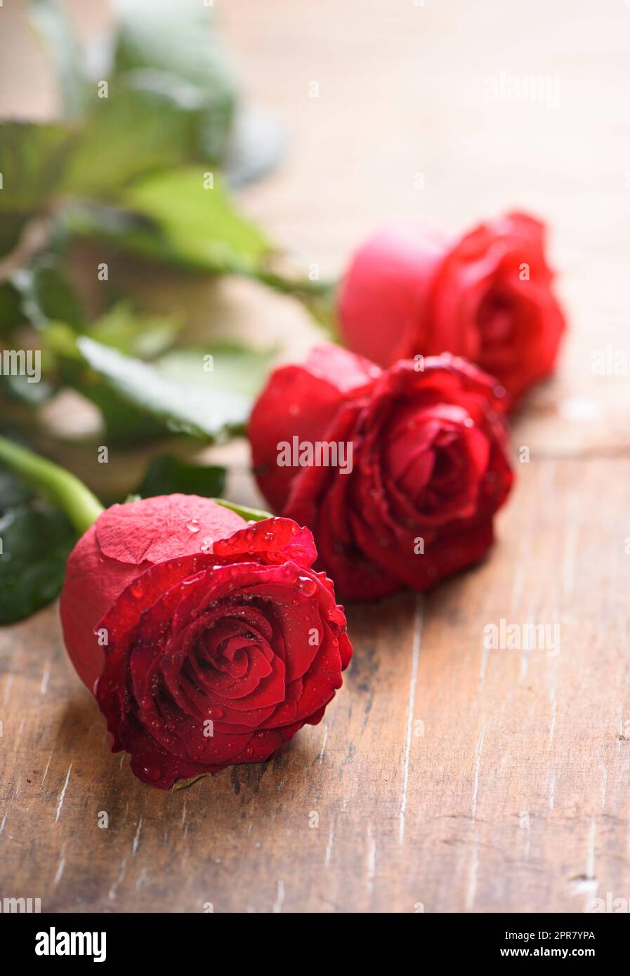 Roses of special occasion hi-res stock photography and images - Alamy