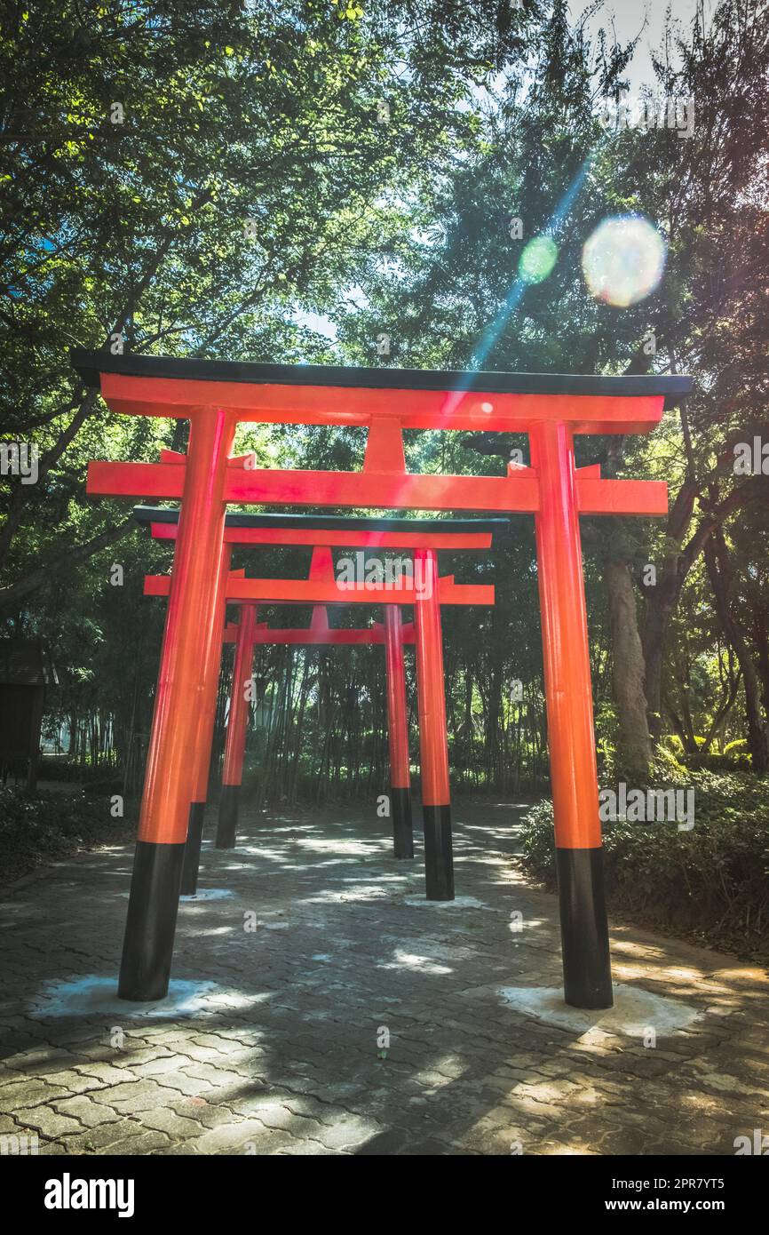 Wooden Japanese gate (Tori Gate) at green forest Japanese culture ...