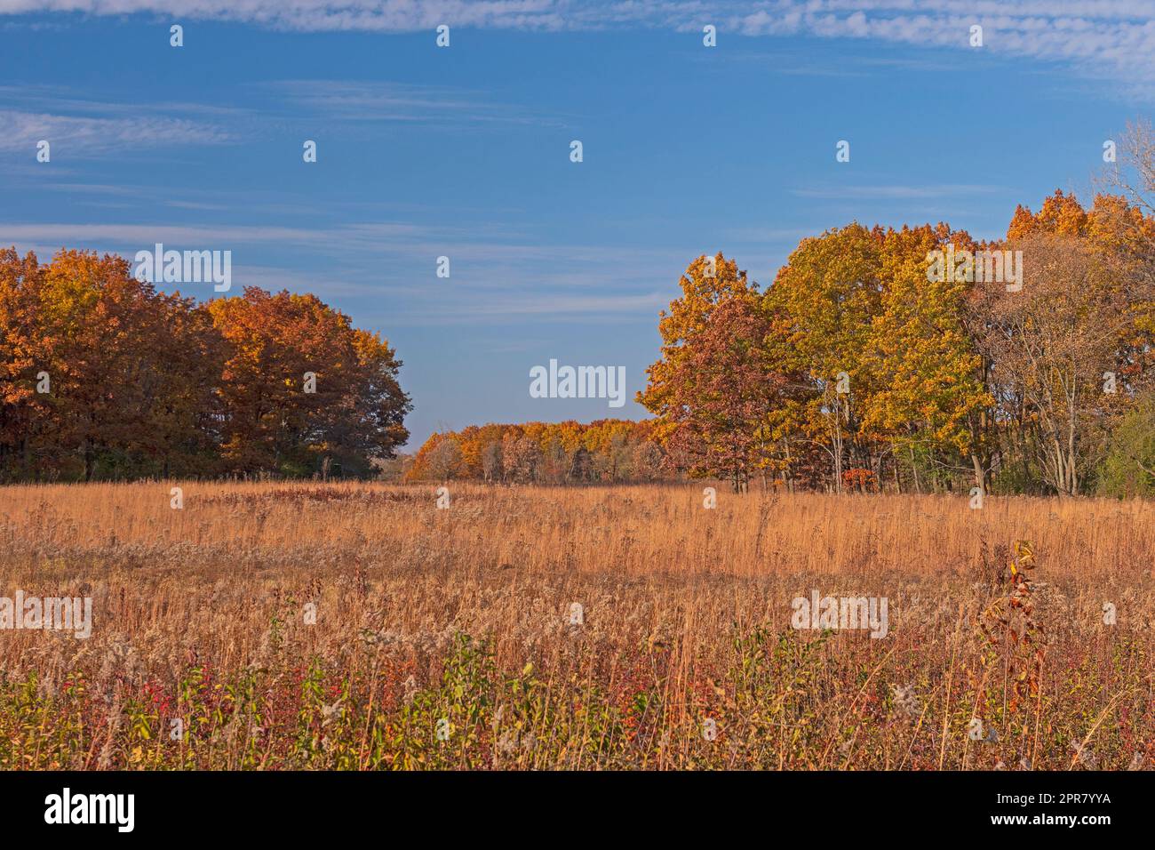 Fall Colors in the Prairie and the Forest Stock Photo - Alamy