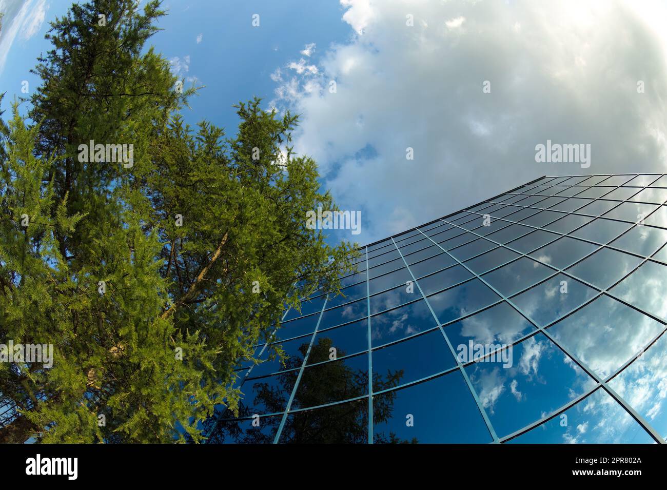 glass office building windows clouds sky tree reflection finance ...