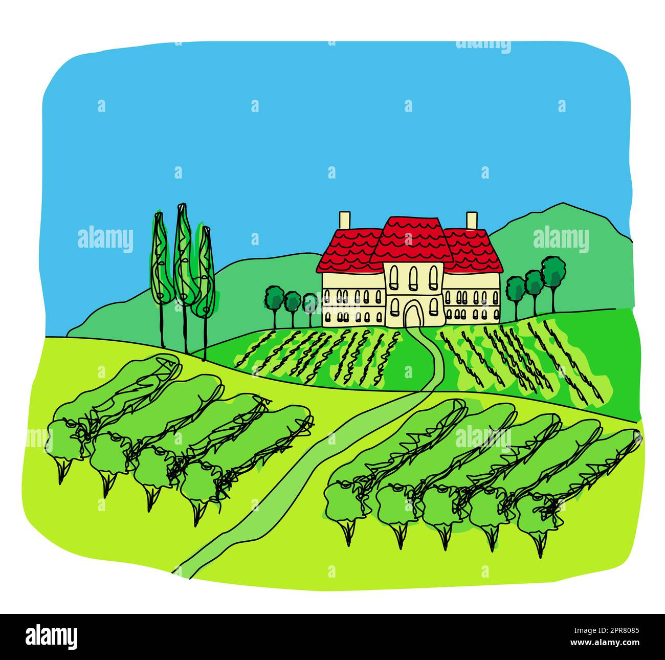 Vector illustration of vineyard Stock Photo - Alamy