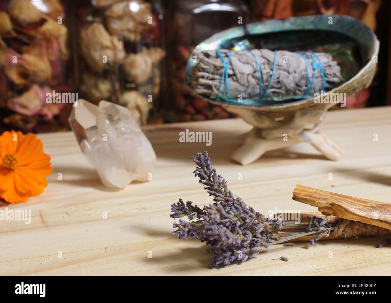 Dried Lavender With Palo Santo Wood and Abalone Shell For Smudging ...