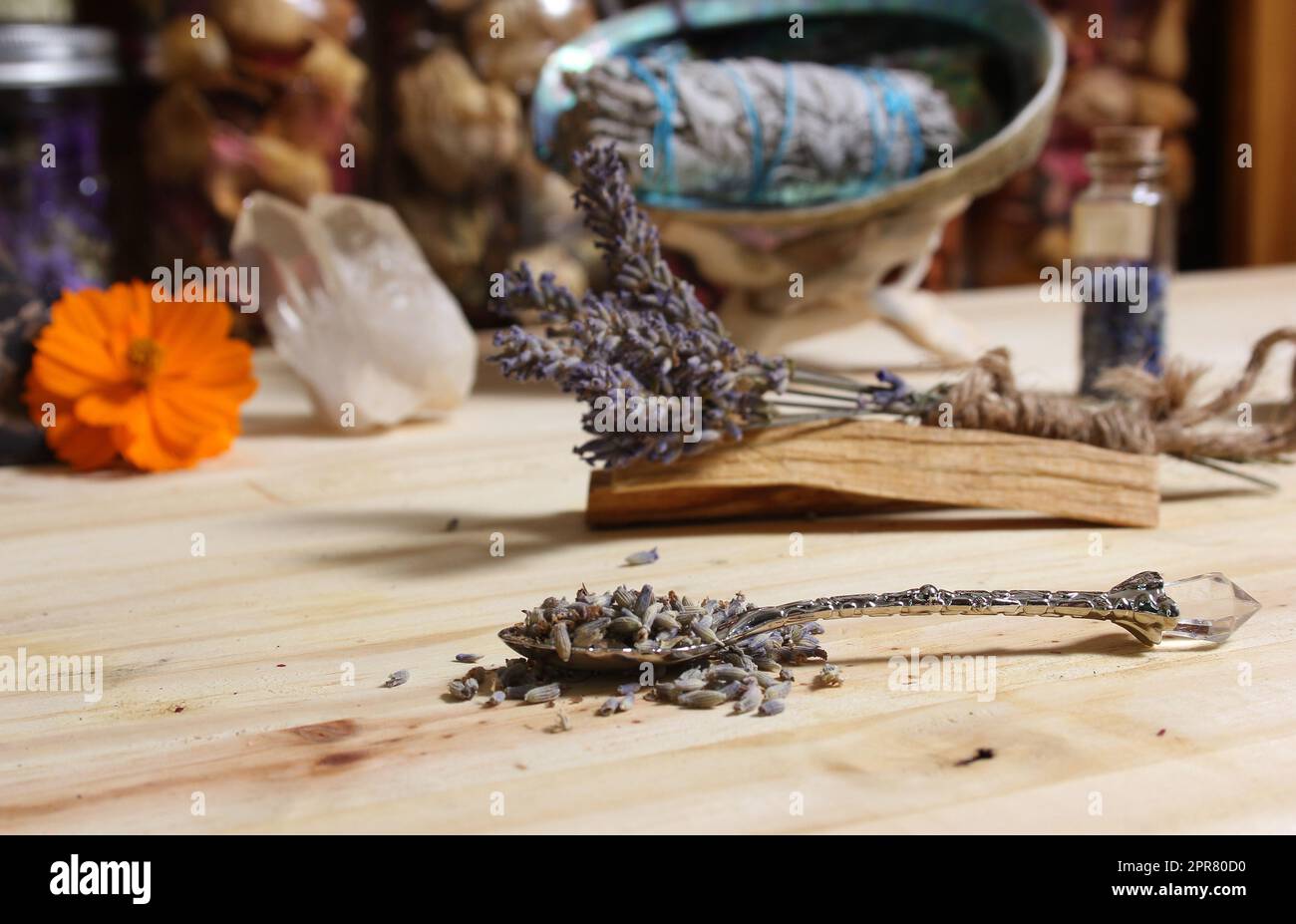 Dried Lavender With Palo Santo Wood and Abalone Shell For Smudging ...