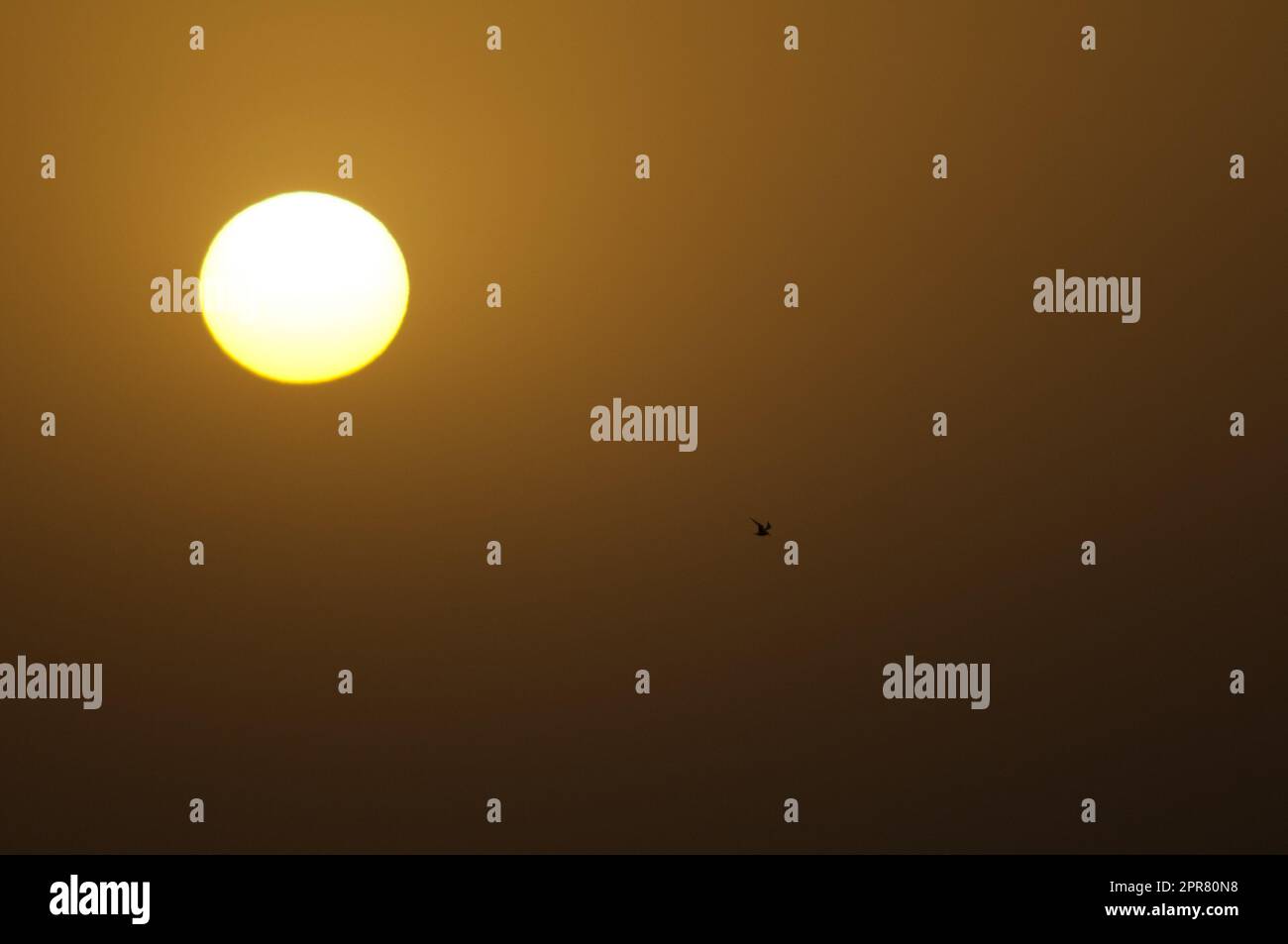 Sunset in the Natural Reserve of Popenguine Stock Photo - Alamy