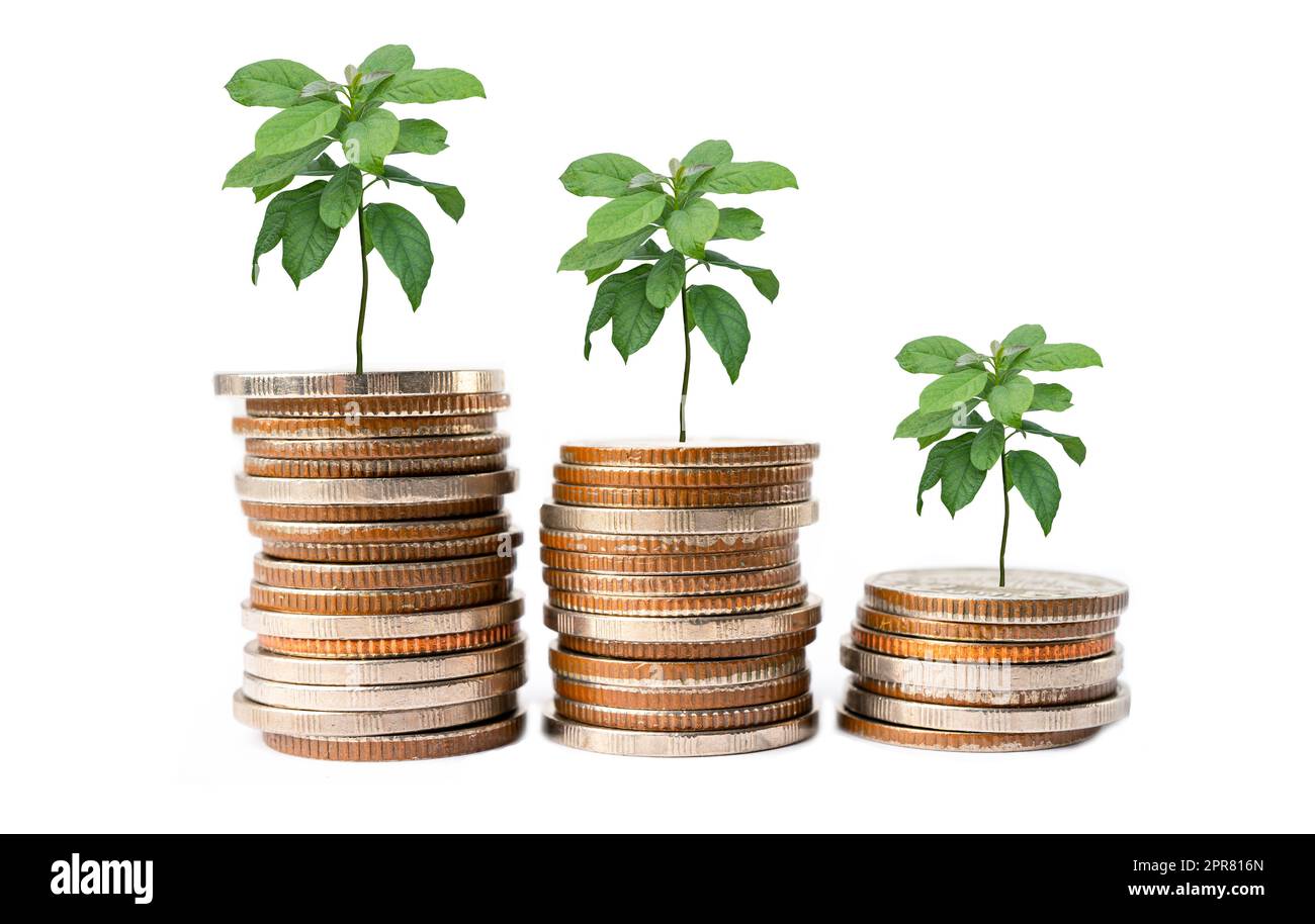 Save money tree growing on coins in plastic bottle, Business finance ...