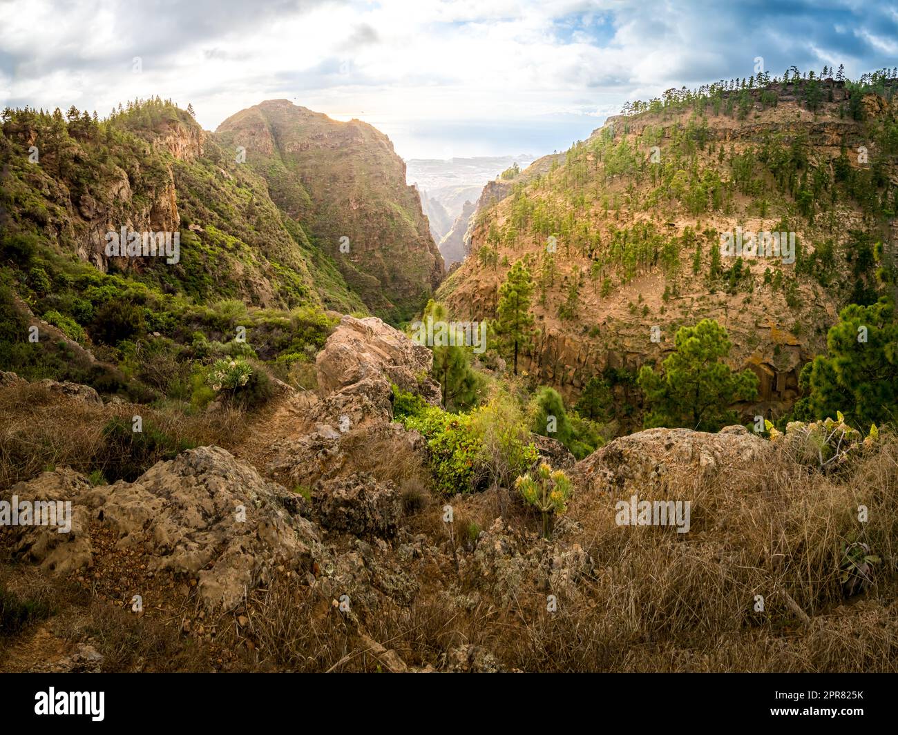 A thrilling panoramic view of the Barranco del Infierno ravine, Hell's ...