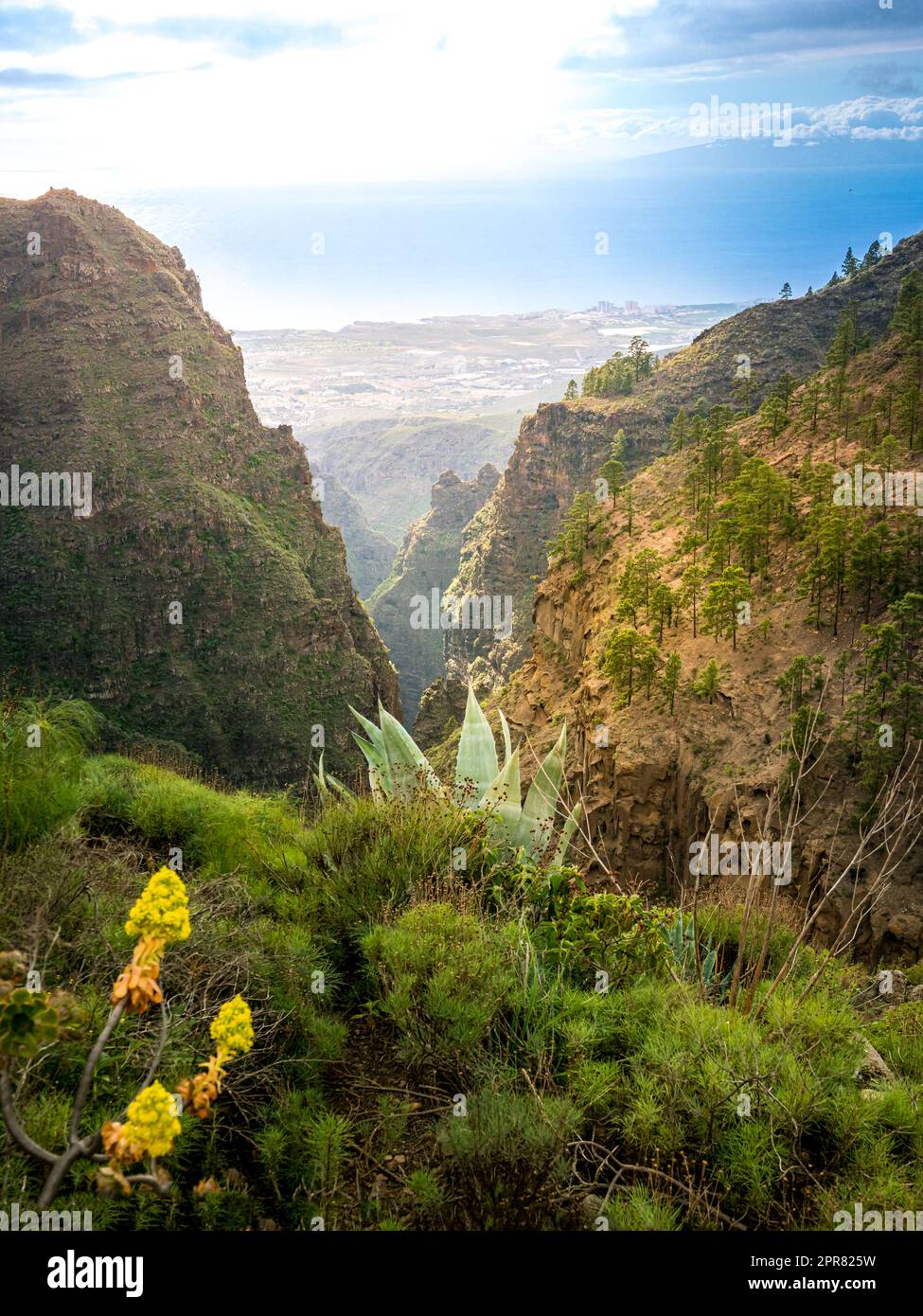 Portrait view captures the deep Barranco del infierno ravine, Hell's ...