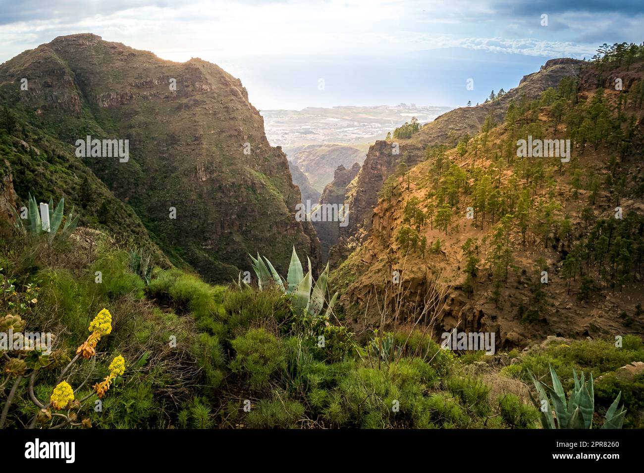 A breathtaking high-angle view of Barranco del infierno ravine, Hell's ...