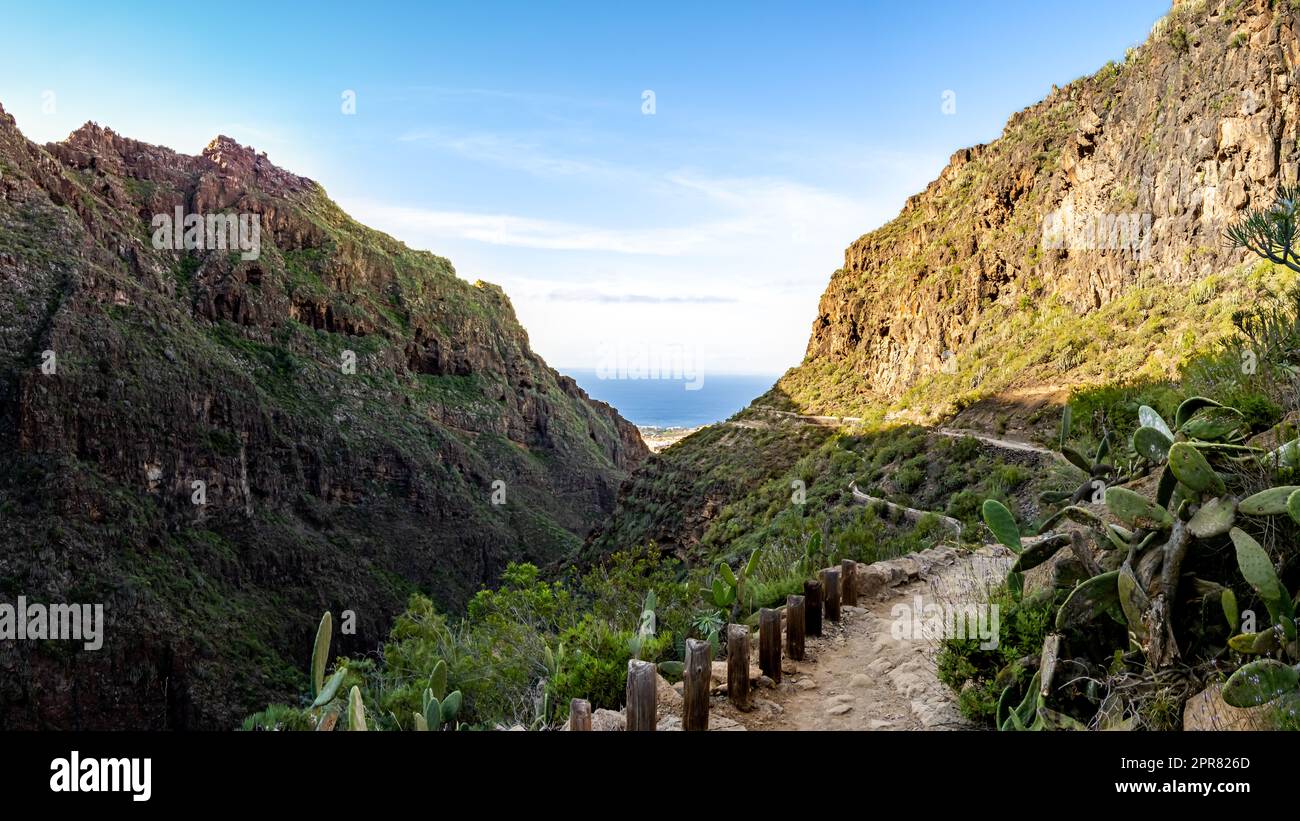 Enjoy a panoramic view from the Barranco del Infierno ravine, Hell's ...