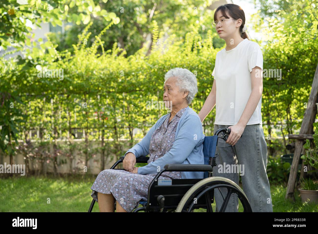 Caregiver help and care Asian senior or elderly old lady woman patient sitting on wheelchair in ...