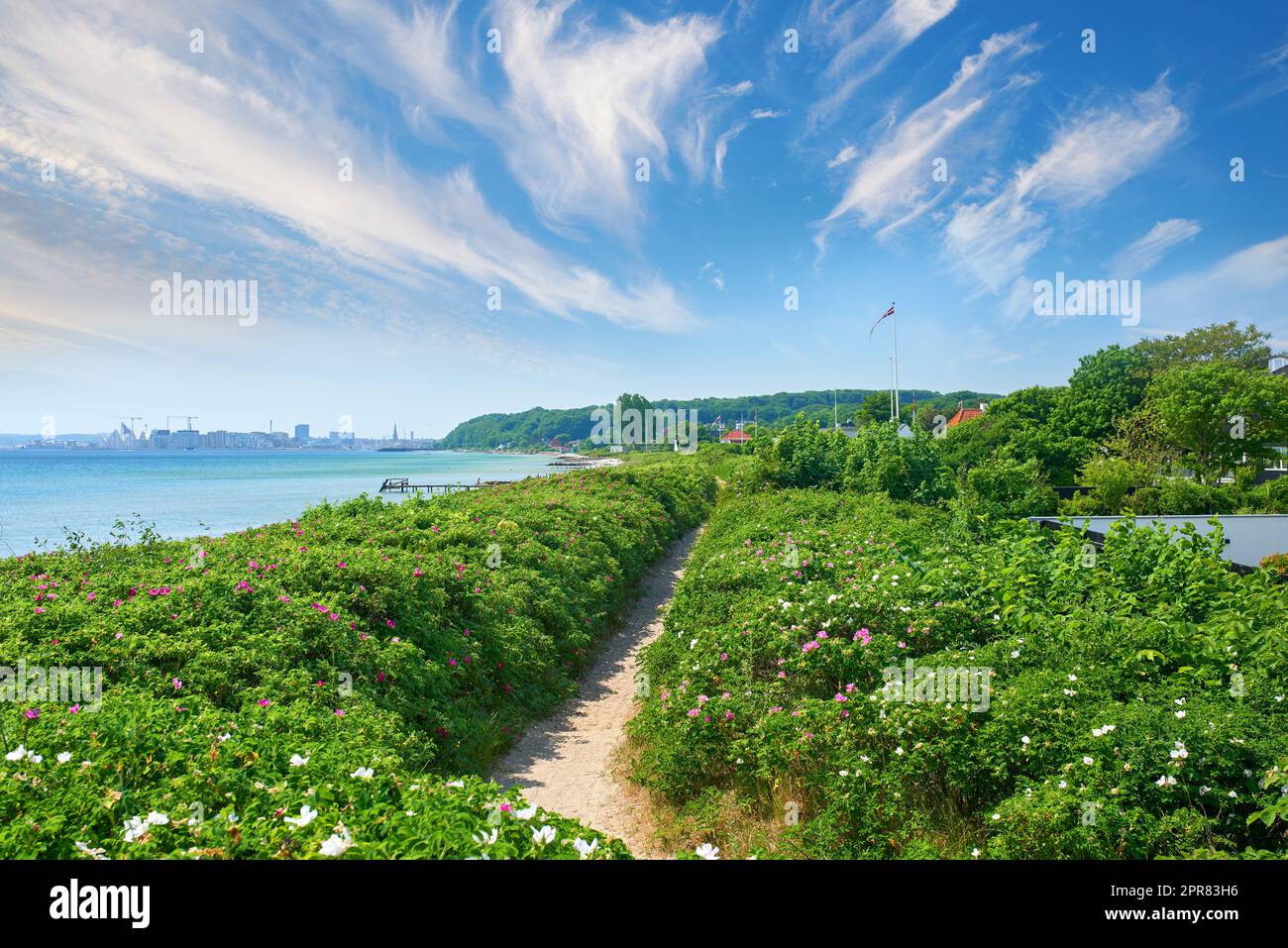 Pathway to calm hi-res stock photography and images - Alamy
