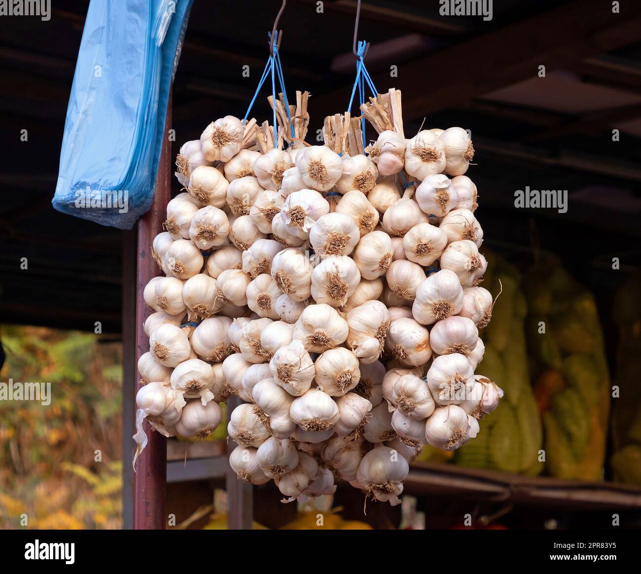 Garlic hanging on market stall Stock Photo - Alamy