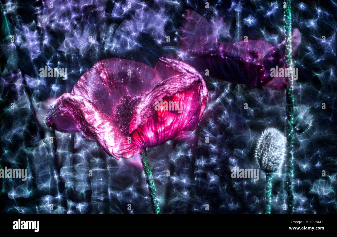 3D-Illustration of spring flowers with a high energy kirlian field glowing in different colors ...