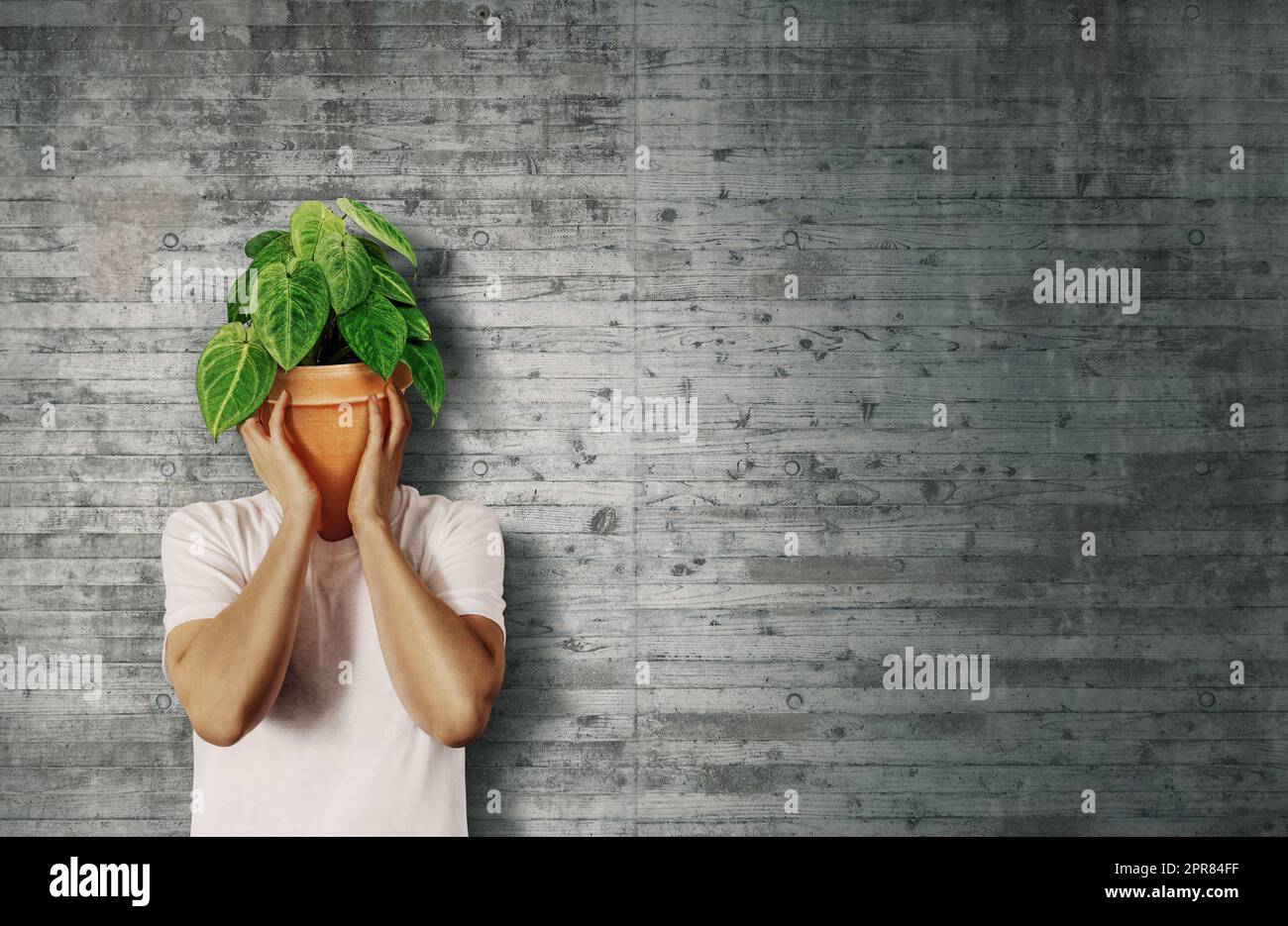 Person with a potted plant instead of head. Plantsman is a lifestile ...