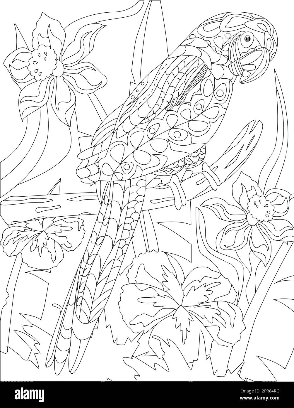 Coloring Parrot Images Bird Coloring Pages To Print