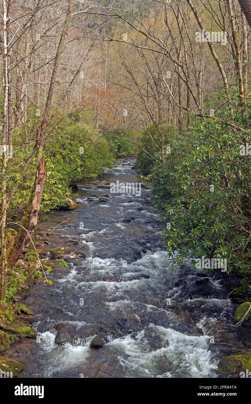 Verdant waters hi-res stock photography and images - Alamy