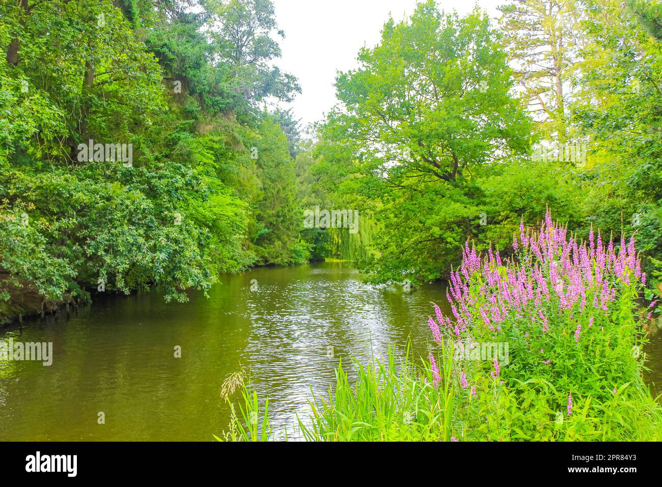 Natural lake view hi-res stock photography and images - Alamy
