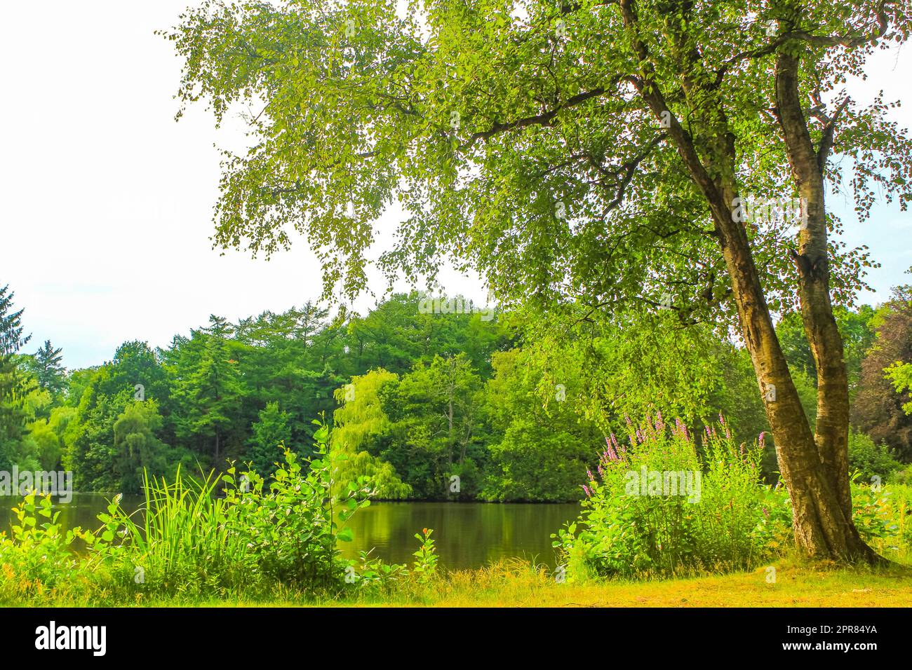 Natural lake view hi-res stock photography and images - Alamy