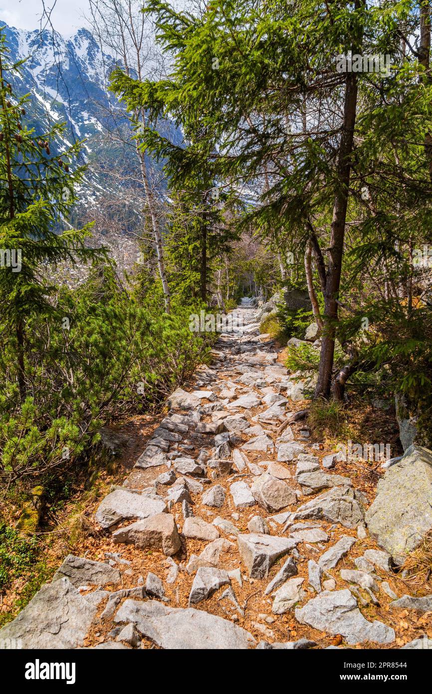 High Tatra Mountain Range Stock Photo - Alamy