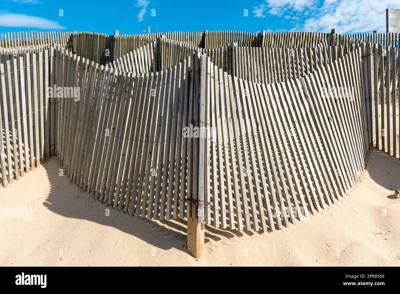 Coastal management to stabilization the dunes near Porto Stock Photo ...