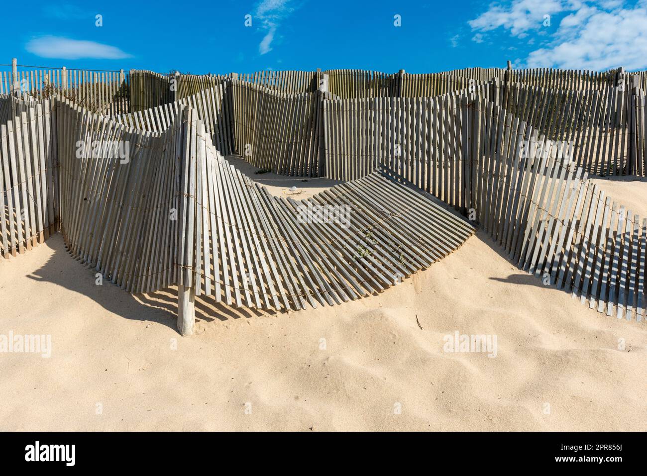 Coastal management to stabilization the dunes near Porto Stock Photo ...