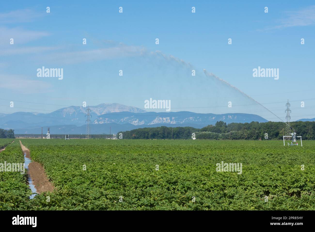 Farmer on green wheat field hi-res stock photography and images - Alamy
