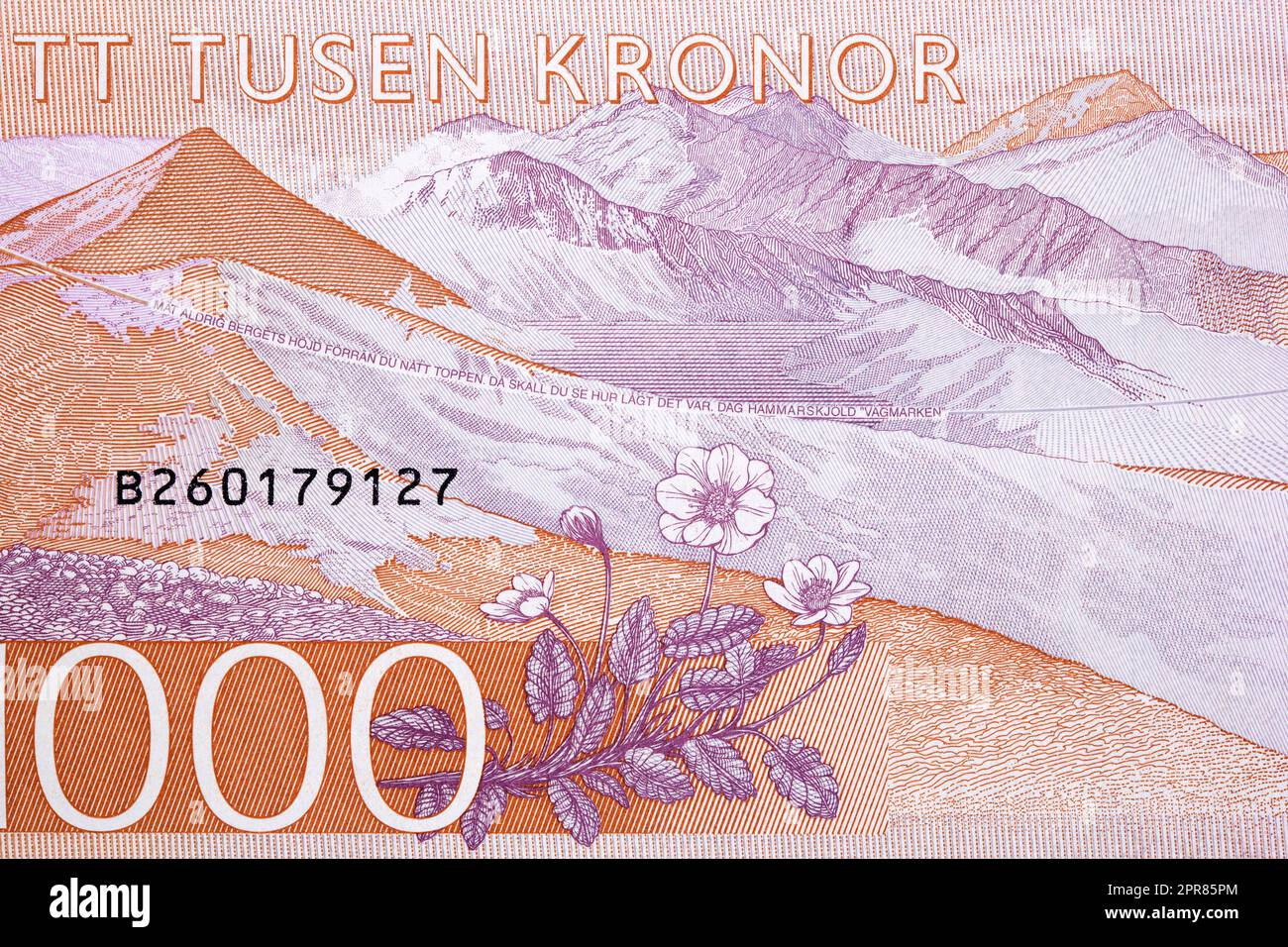Mountain range from Swedish money Stock Photo - Alamy
