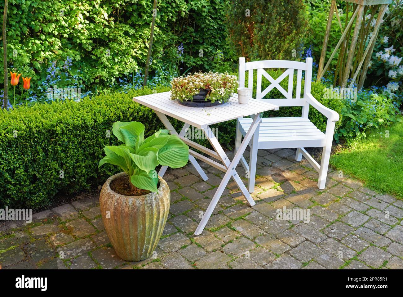 Lots of green pretty trees hi-res stock photography and images - Alamy