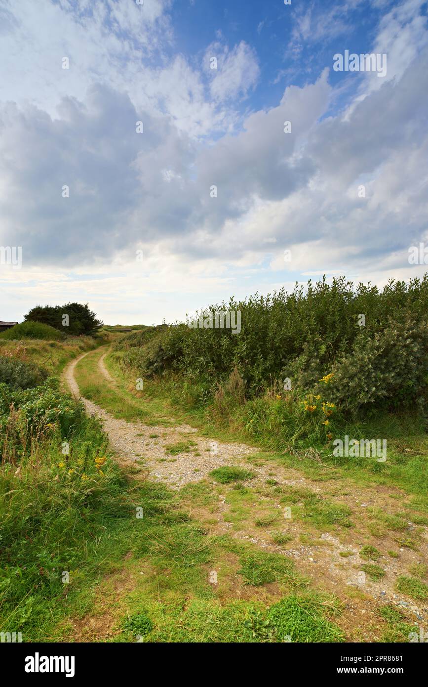 Landscape view of a dirt road road in a countryside leading to lush ...