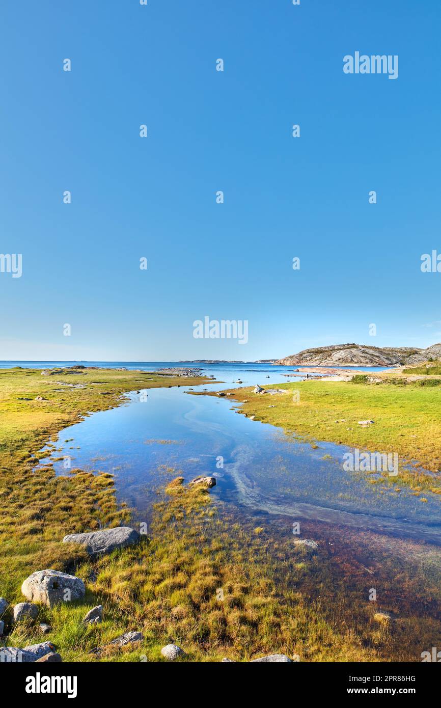 Scenic view of a river flowing through a swamp and leading to the ocean ...