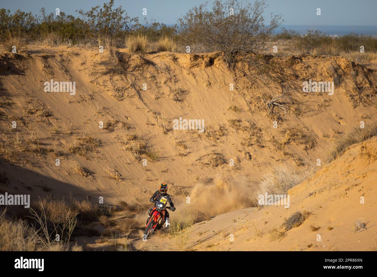 Penasco, Mexique. 26th Apr, 2023. 68 SCHAREINA Tosha (spa), Monster Energy Honda Team, Honda CRF ...