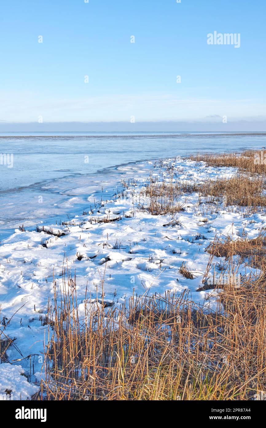Danish Winter landscape by the coast of Kattegat. Photos of Danish ...