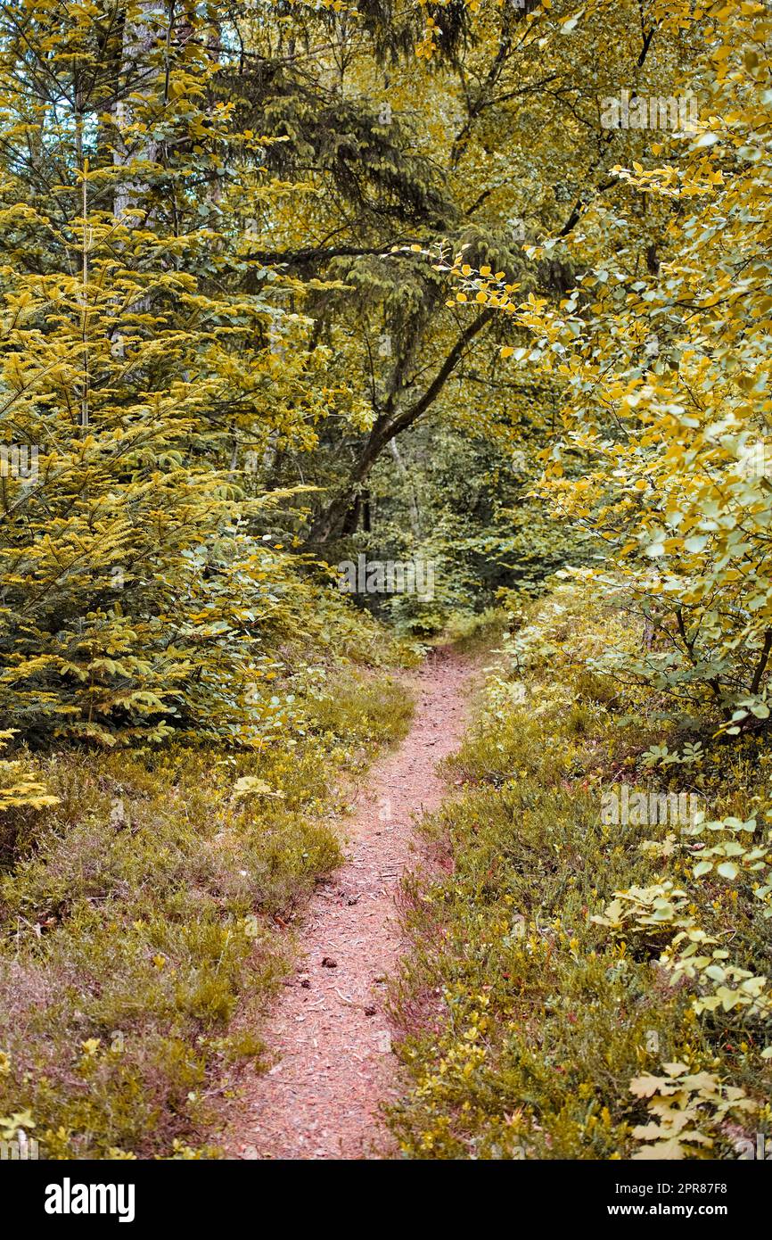 To travel in nature hi-res stock photography and images - Alamy