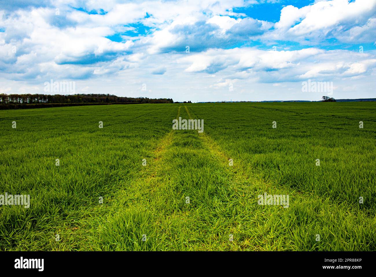 Green screen time hi-res stock photography and images - Alamy