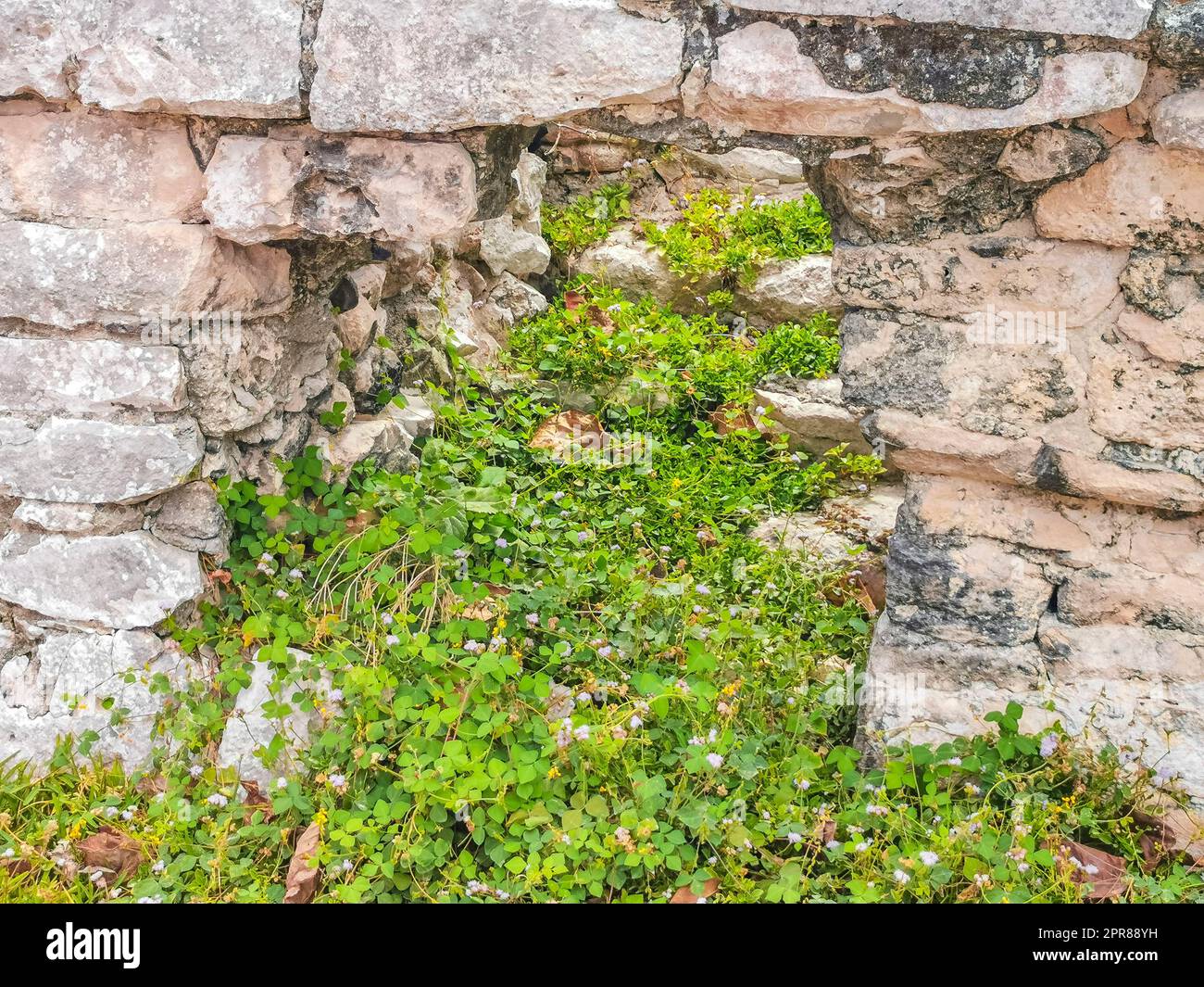 Texture pattern of Tulum ruins Mayan site temple pyramids Mexico Stock ...