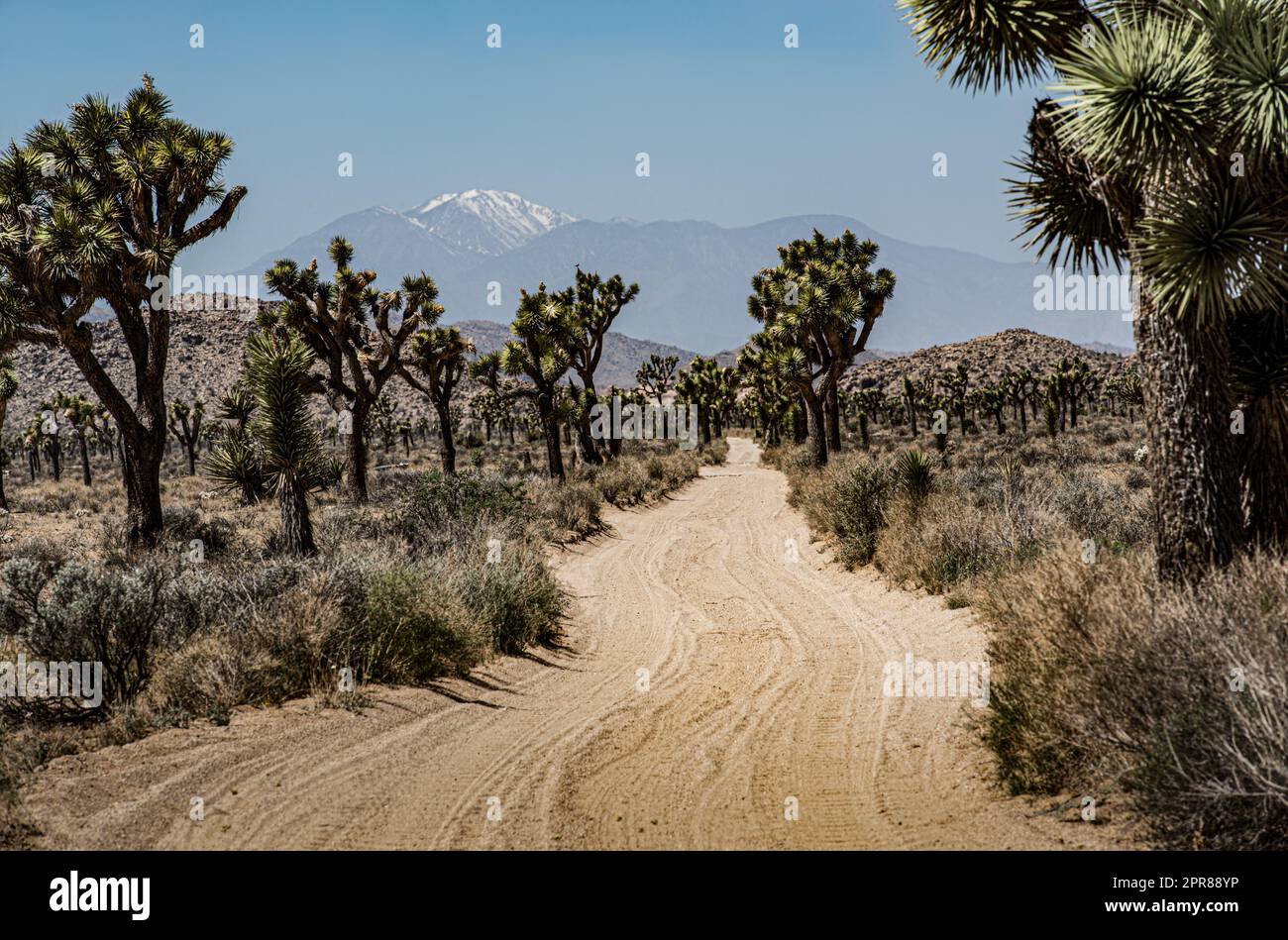 Joshia hi-res stock photography and images - Alamy