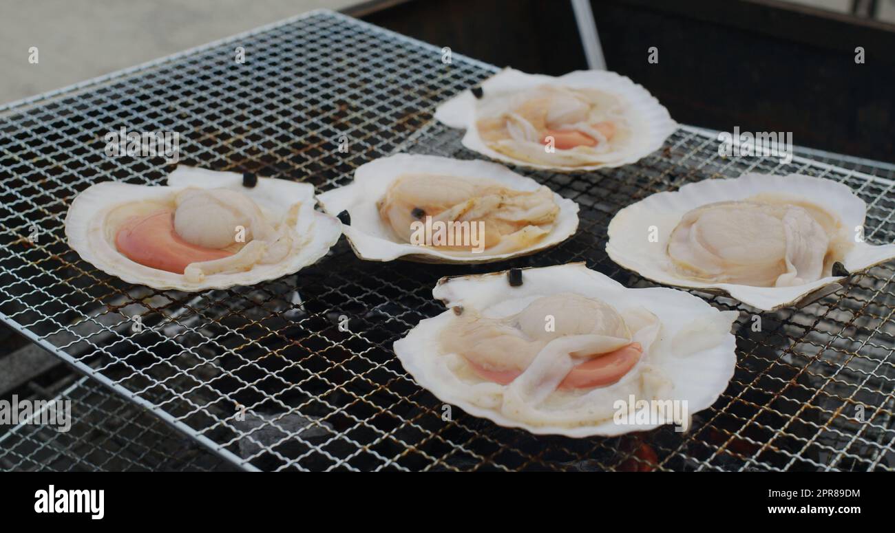Scallop net hi-res stock photography and images - Alamy