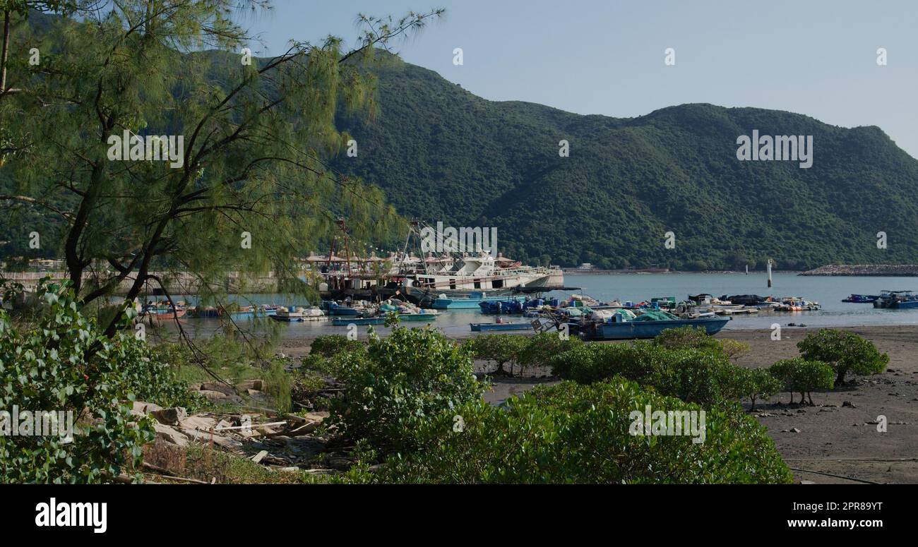 Tai hong kong 19 september hi-res stock photography and images - Alamy