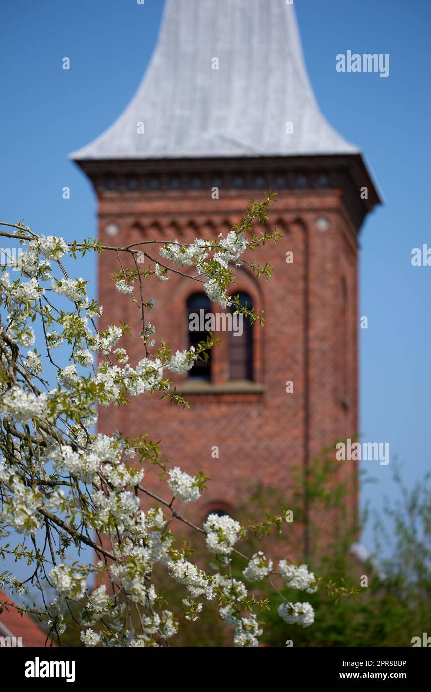 Red flowers in front of white church hi-res stock photography and ...