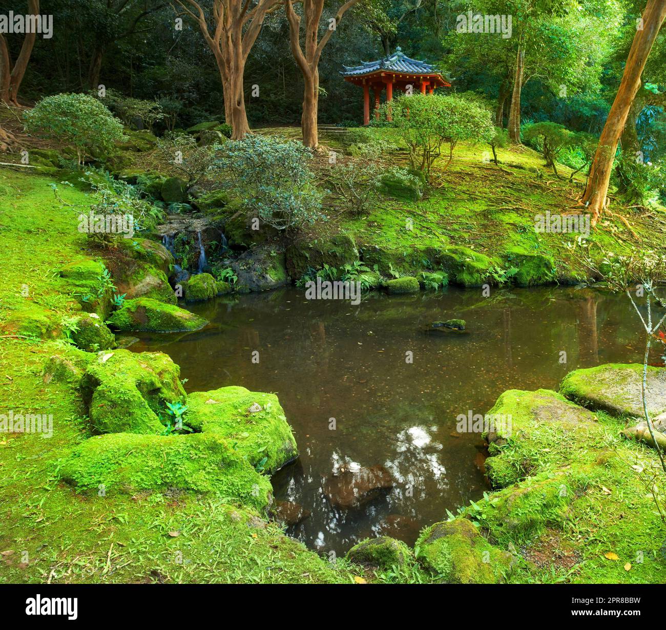 Buddhist temple meditation center hi-res stock photography and images ...
