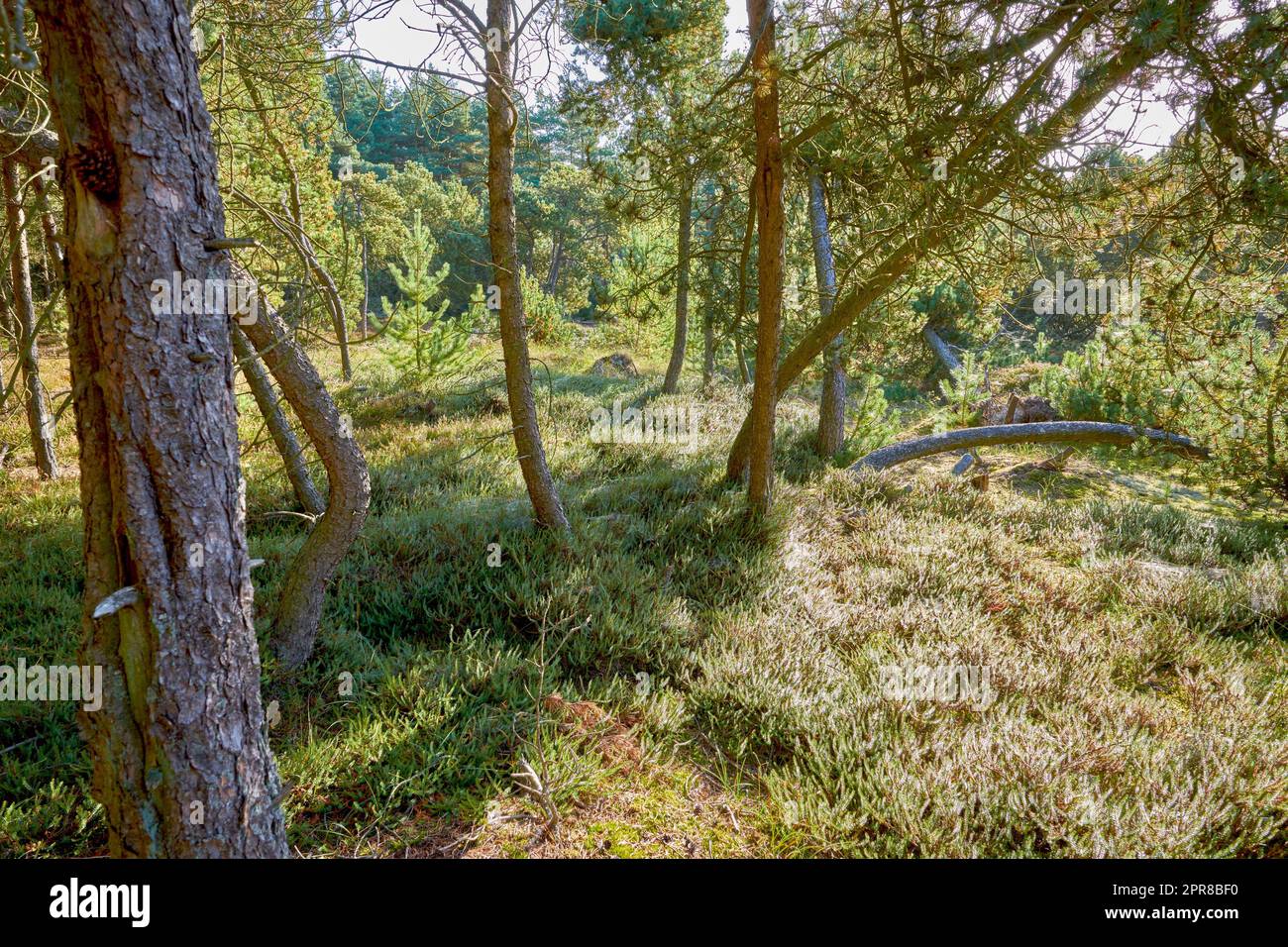 Harsh weather hi-res stock photography and images - Alamy