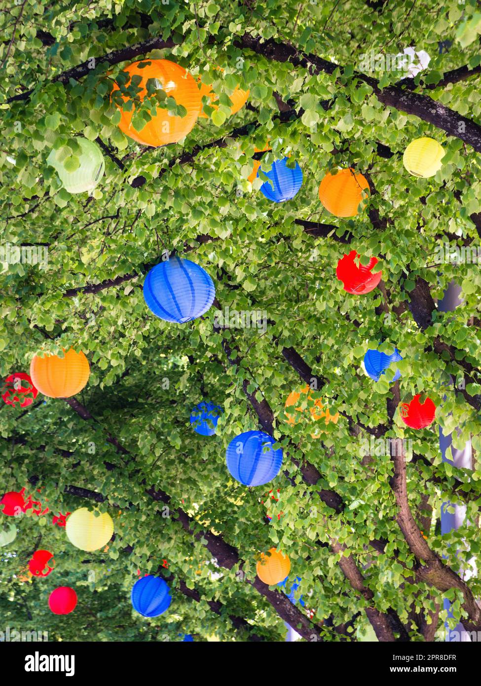 Colourful Paper Lantern hanging with trees Stock Photo - Alamy