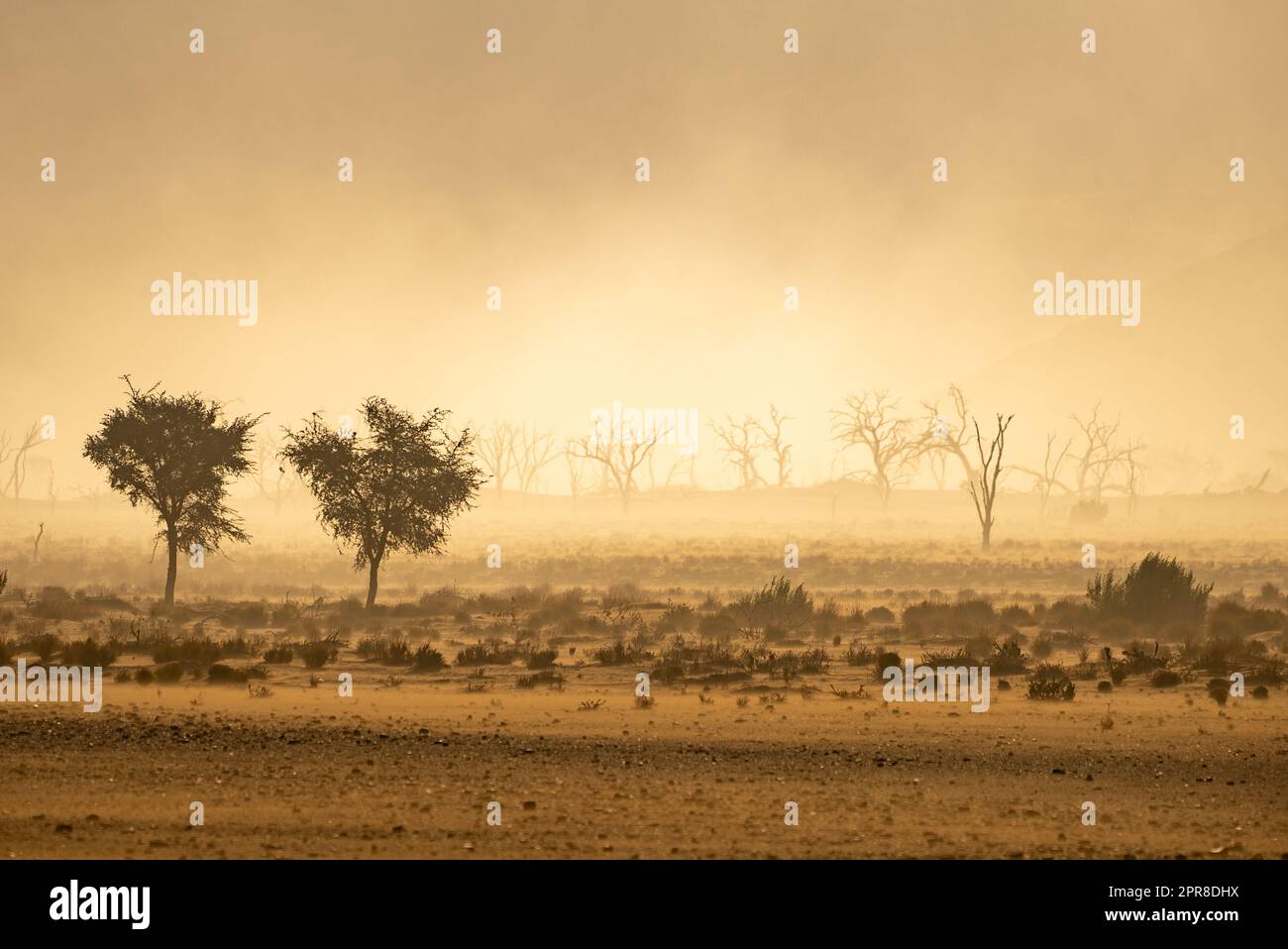 Desert heat haze hi-res stock photography and images - Alamy