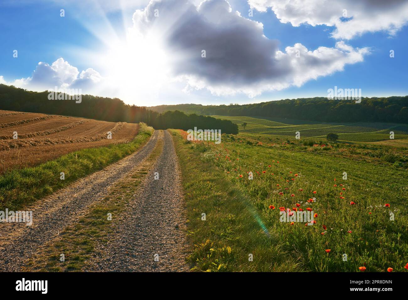 Ground blue sky path hi-res stock photography and images - Alamy