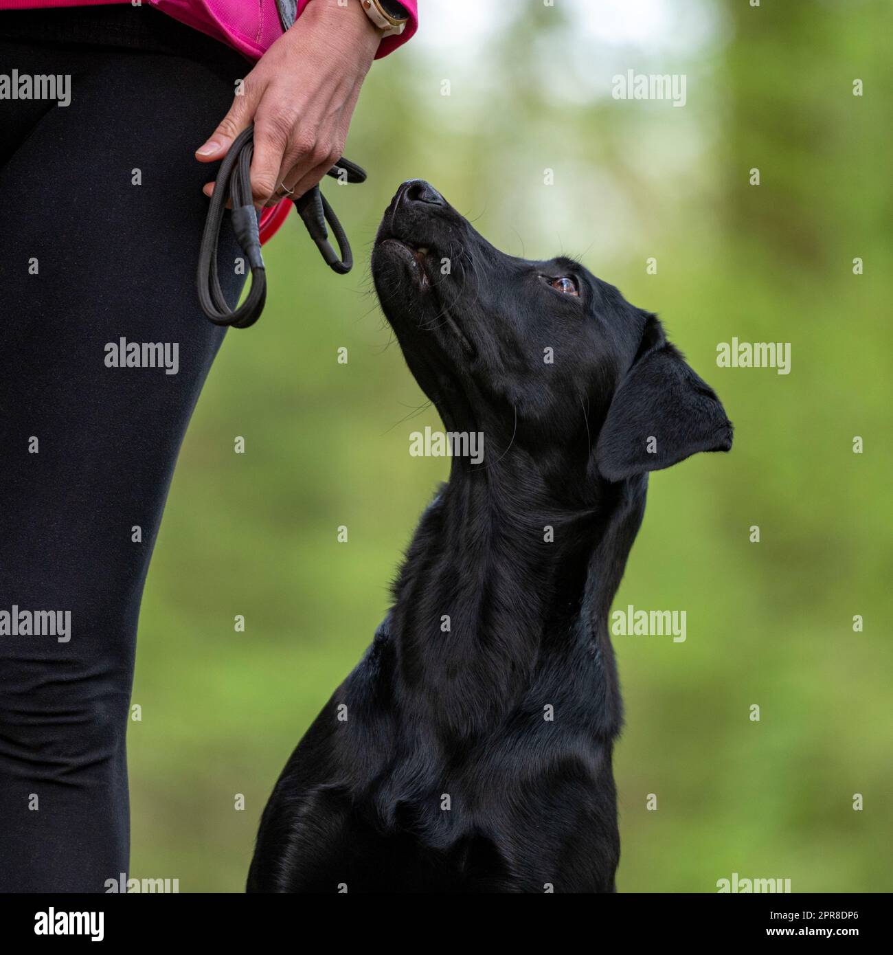 Heel position hi-res stock photography and images - Alamy